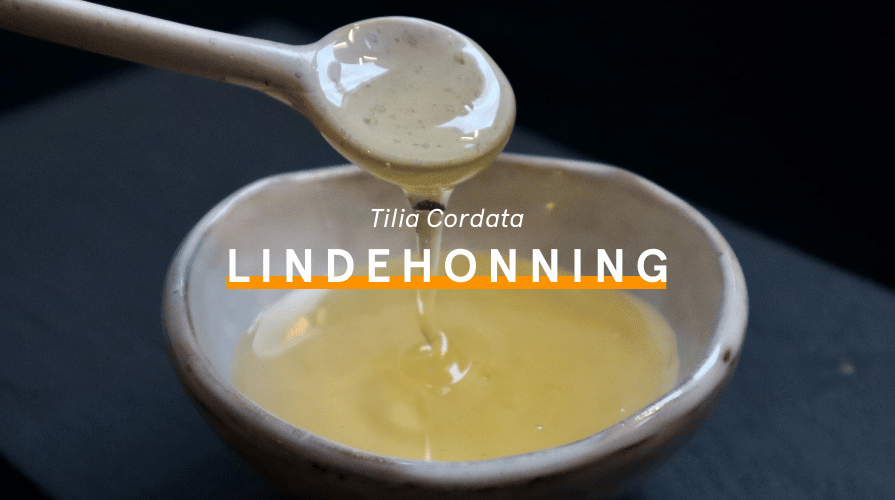 Lindehonning - ByBi