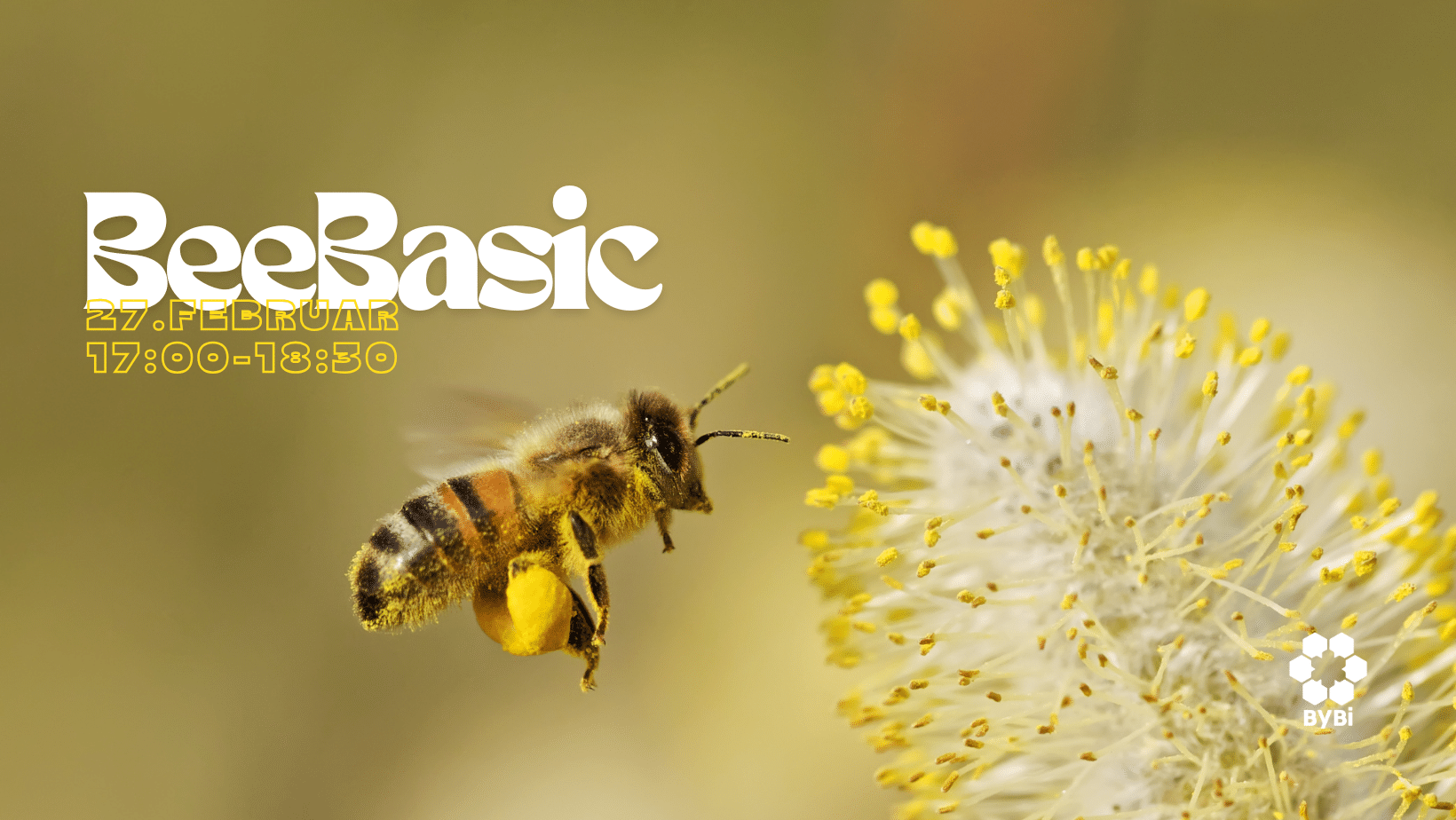 BeeBasic - introduction course to bees and beekeeping - ByBi